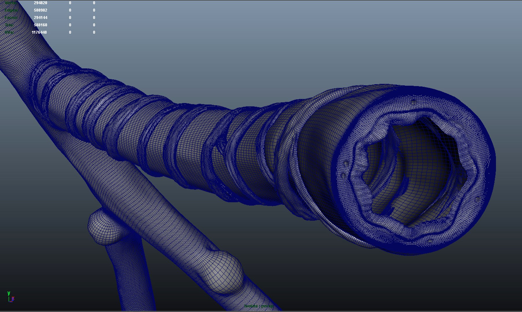 3d Model Bronchial Tube Anatomy