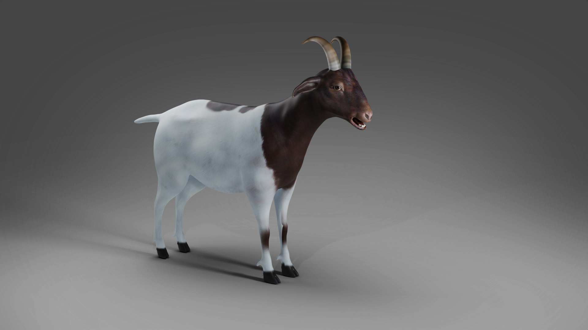 3D 3D Goat 03 Rigged In Blender - TurboSquid 2010364