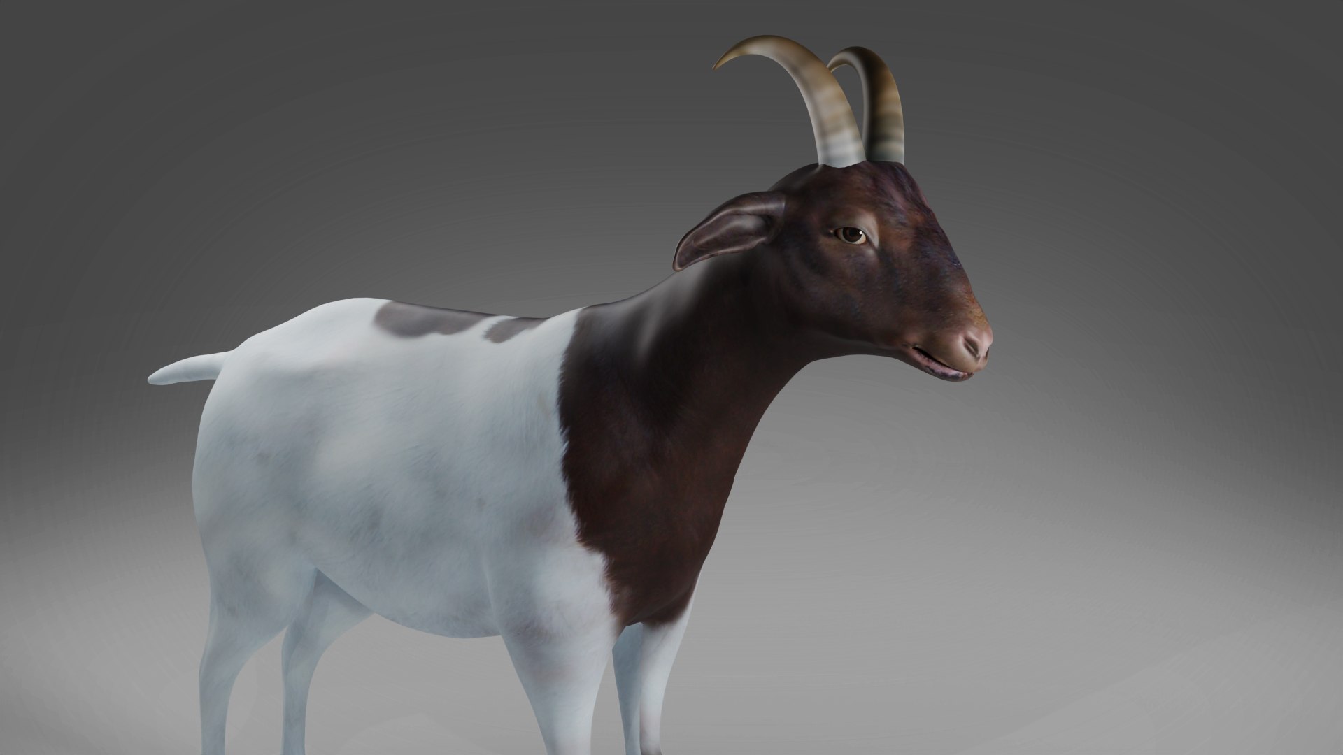 3D 3D Goat 03 Rigged In Blender - TurboSquid 2010364