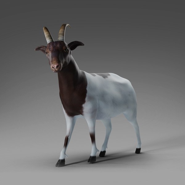 3D модель 3D Goat 03 Rigged in Blender - TurboSquid 2010364