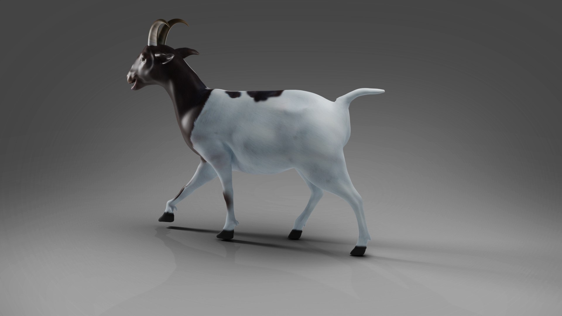 3D 3D Goat 03 Rigged In Blender - TurboSquid 2010364