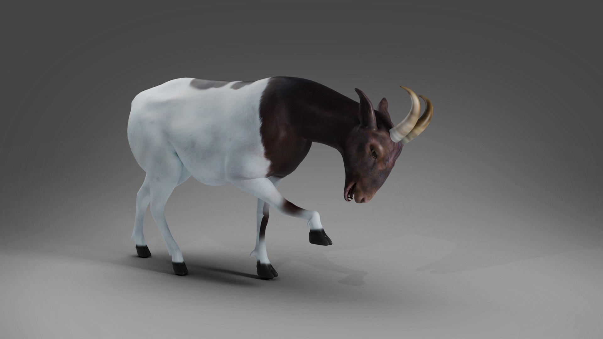 3D 3D Goat 03 Rigged In Blender - TurboSquid 2010364