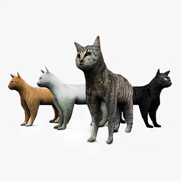 3d model cat animation