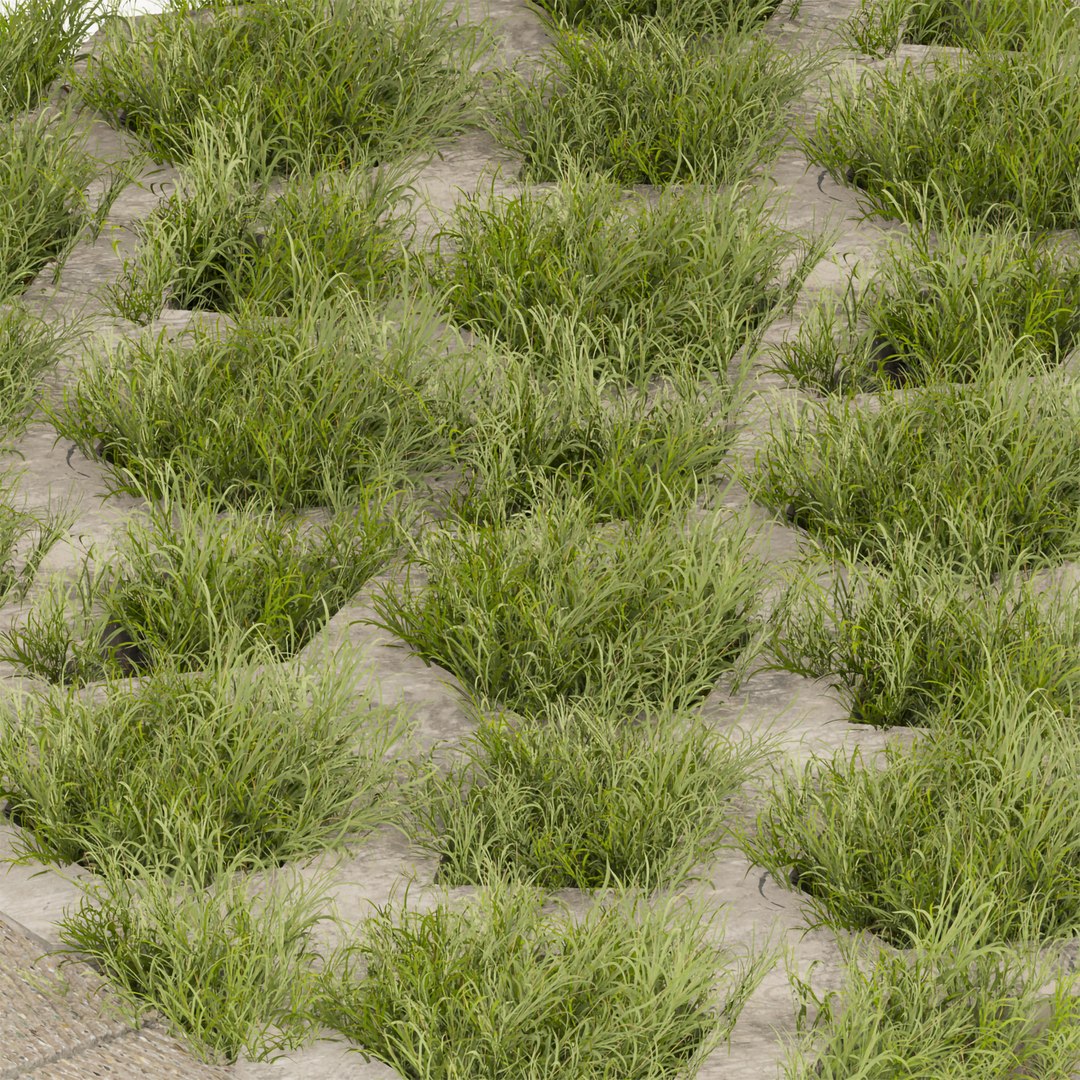 Collection plant vol 499 - concrete - tileable - grass 3D model ...
