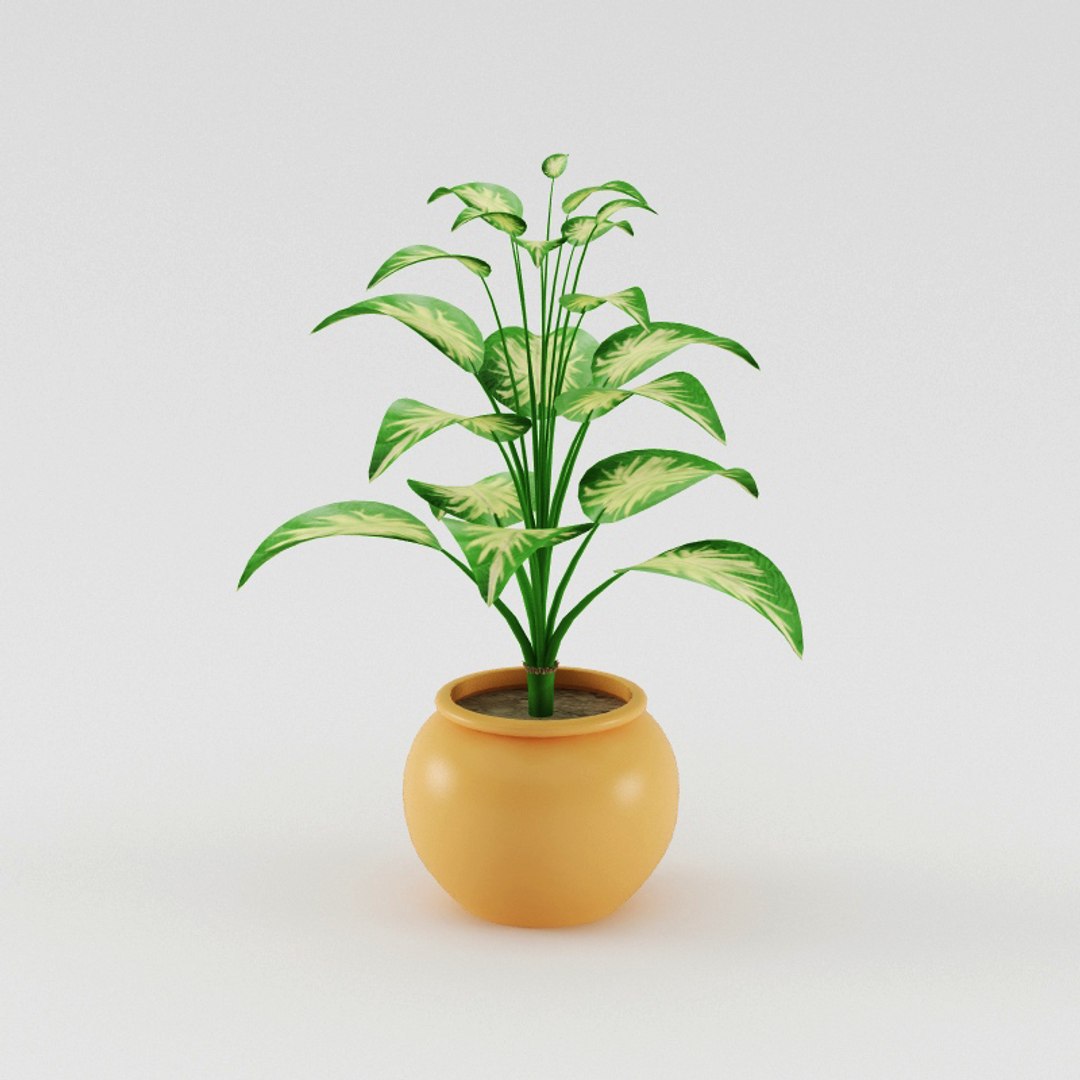 3d Small Plant Model