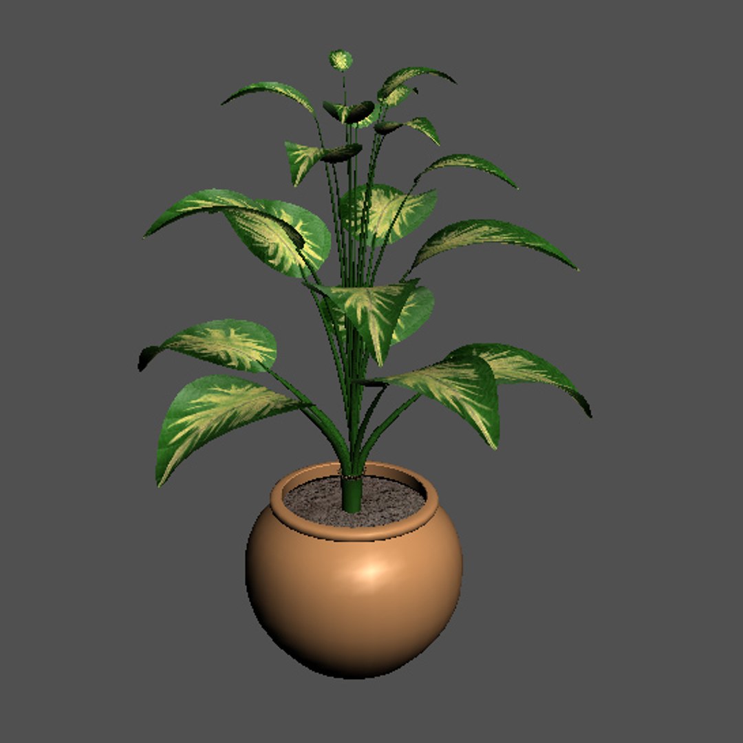 3d Small Plant Model