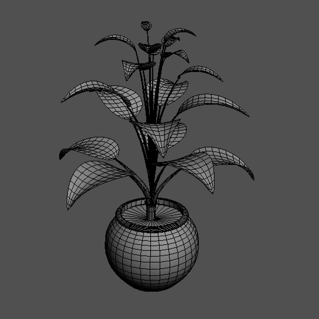3d Small Plant Model