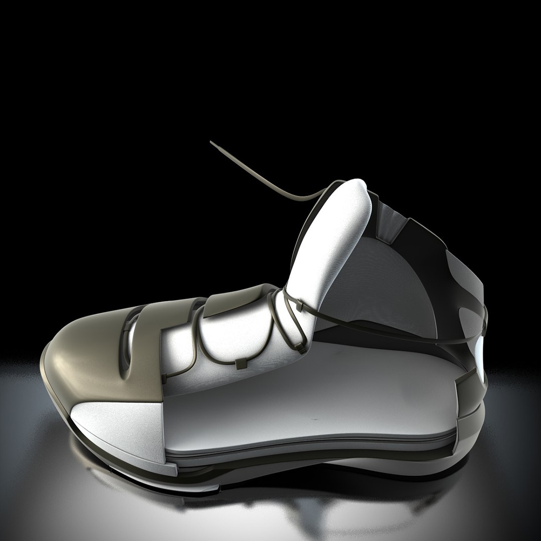3d Cross-section Shoe Section