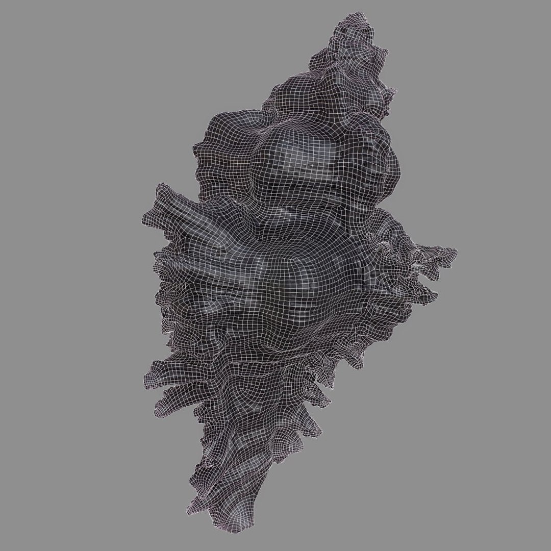 3d Chicoreus Banksii Sea Mollusk Model