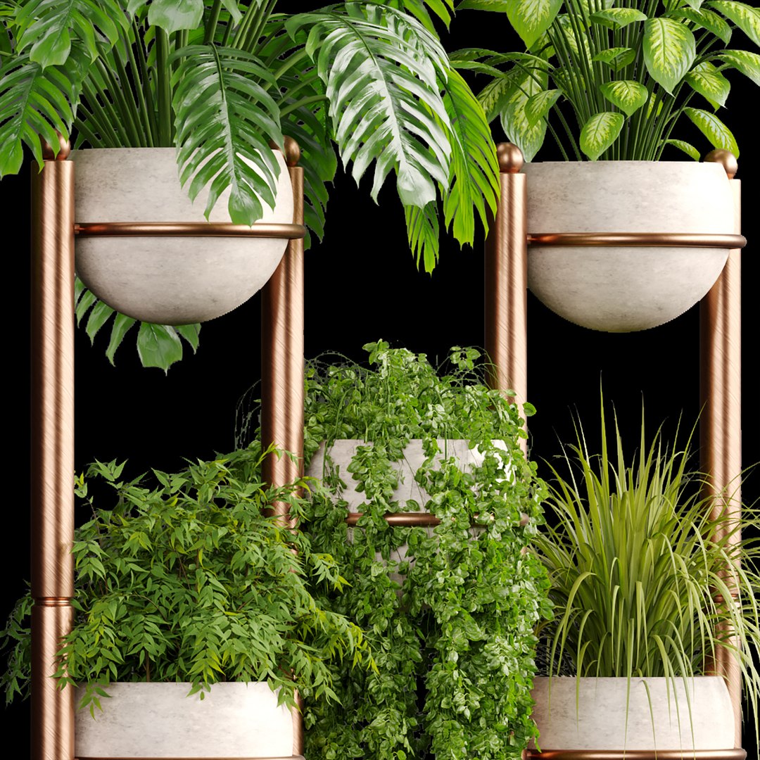 Indoor Plants Collection Vol 37 Model - TurboSquid 1950091