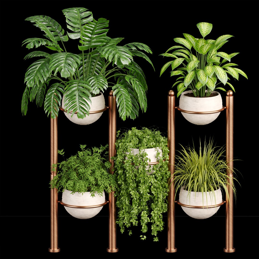 Indoor Plants Collection Vol 37 Model - TurboSquid 1950091