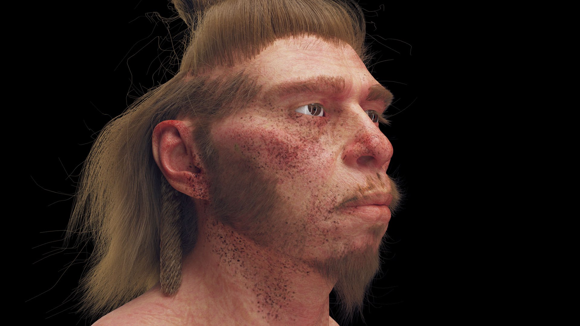 3D Neanderthal Male - TurboSquid 2108967