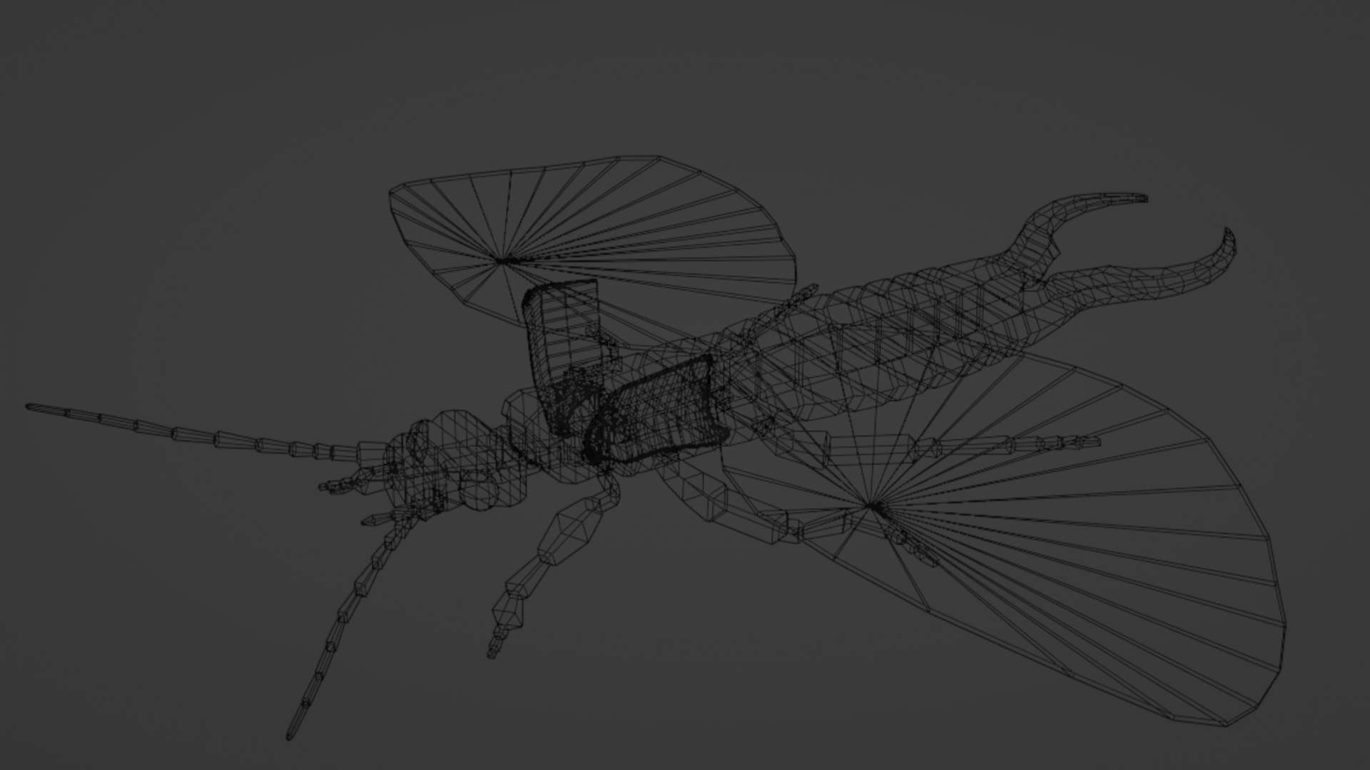 3D Earwig Forficula auricularia Animated - TurboSquid 2004264
