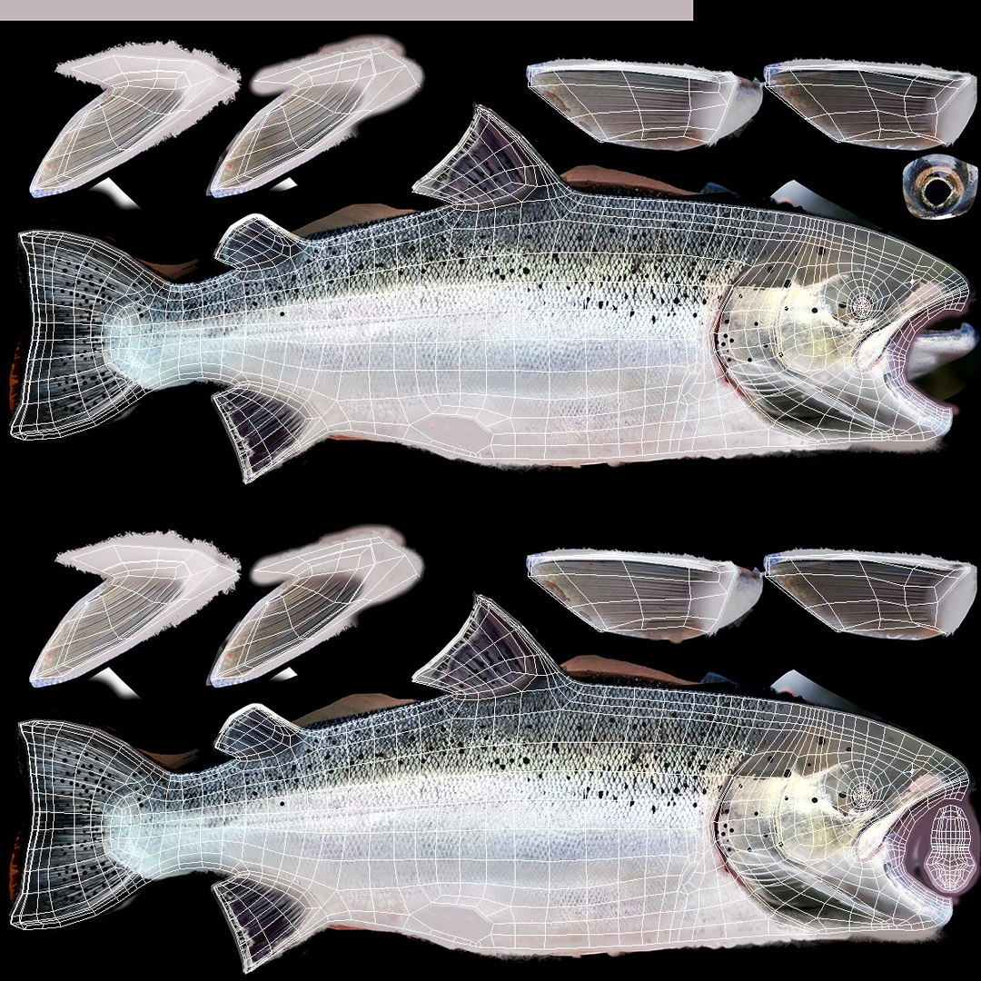 Swimming atlantic salmon fish 3D model - TurboSquid 1431489