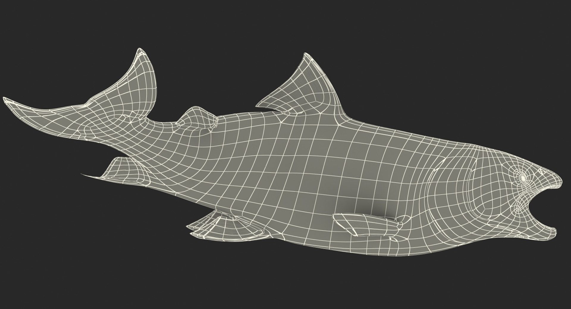 Swimming atlantic salmon fish 3D model - TurboSquid 1431489