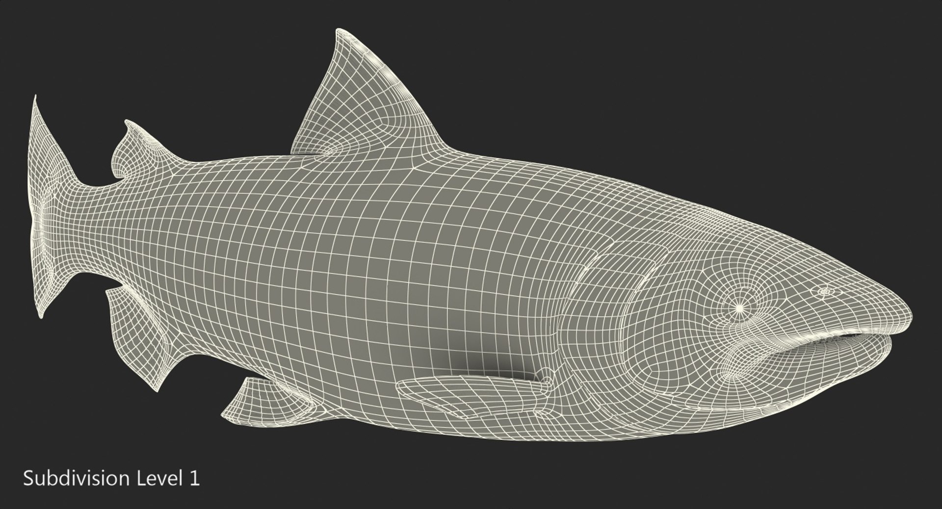 Swimming atlantic salmon fish 3D model - TurboSquid 1431489