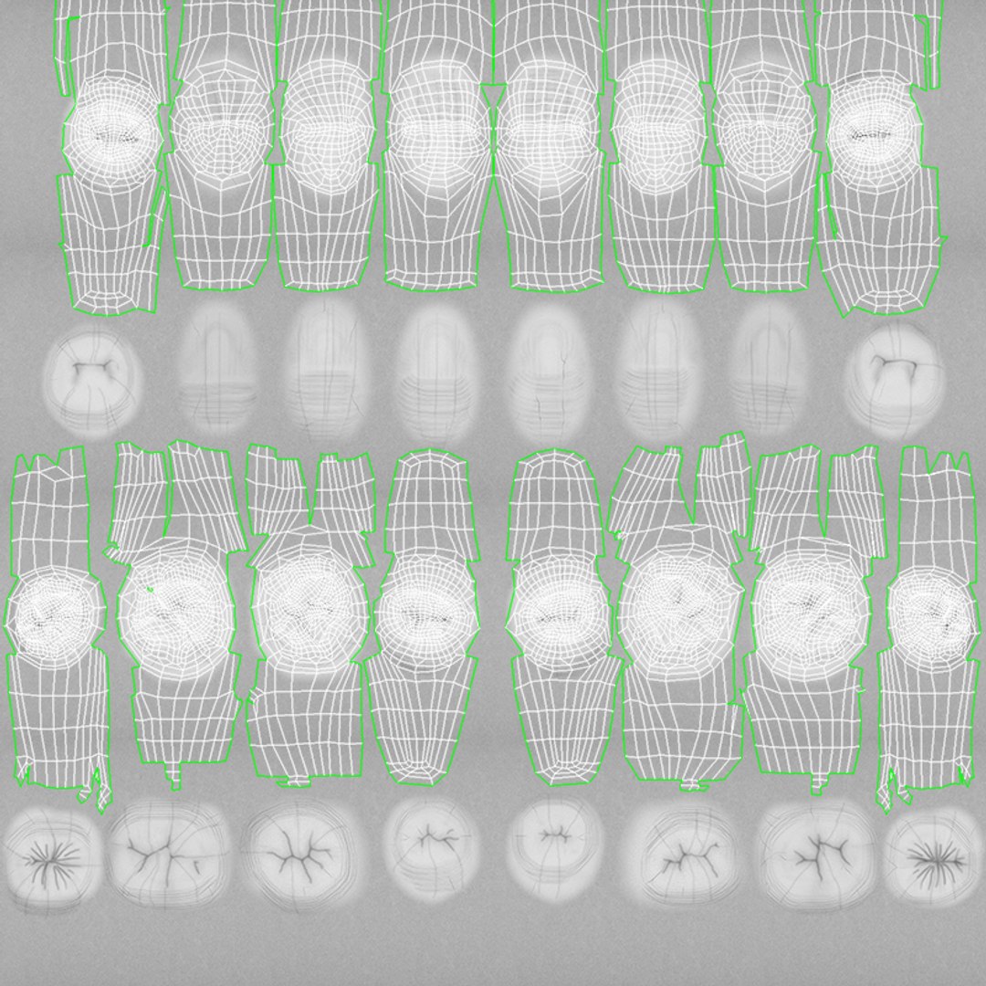 3D Model Dentition Stylized Teeth - TurboSquid 1163030