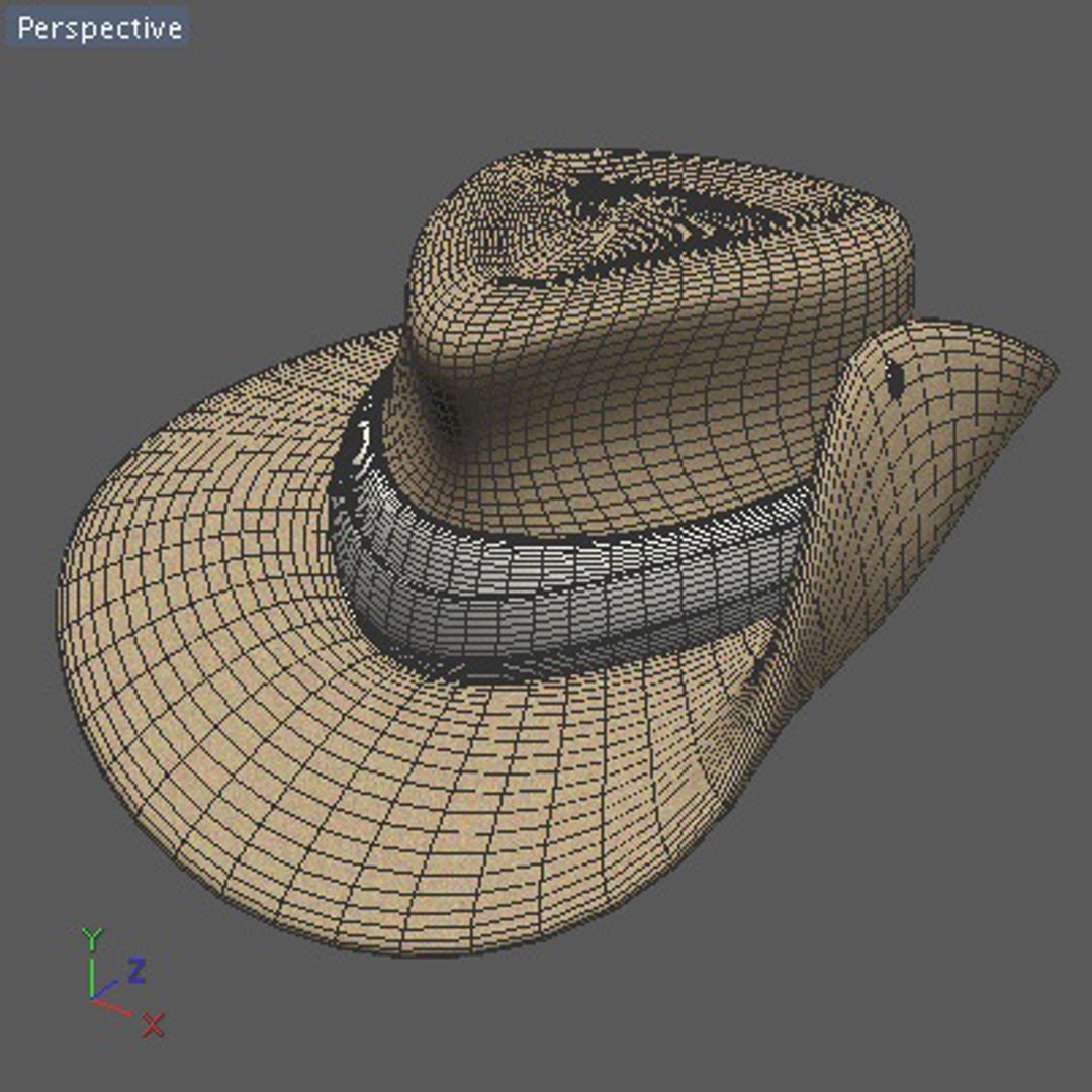 3d Australian Hat
