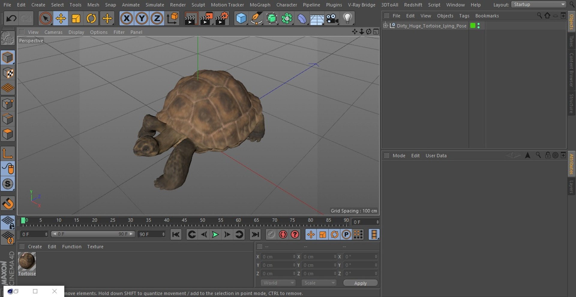 3D Dirty Huge Tortoise Lying Pose - TurboSquid 2108433
