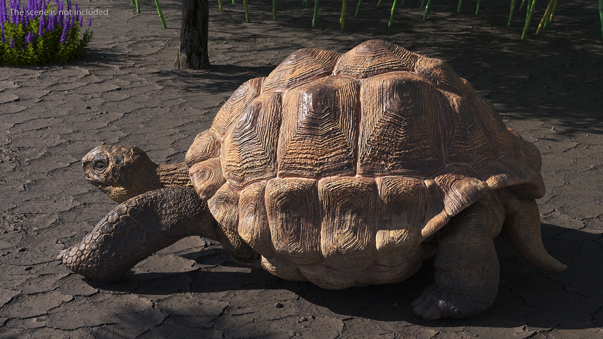 3D Dirty Huge Tortoise Lying Pose - TurboSquid 2108433