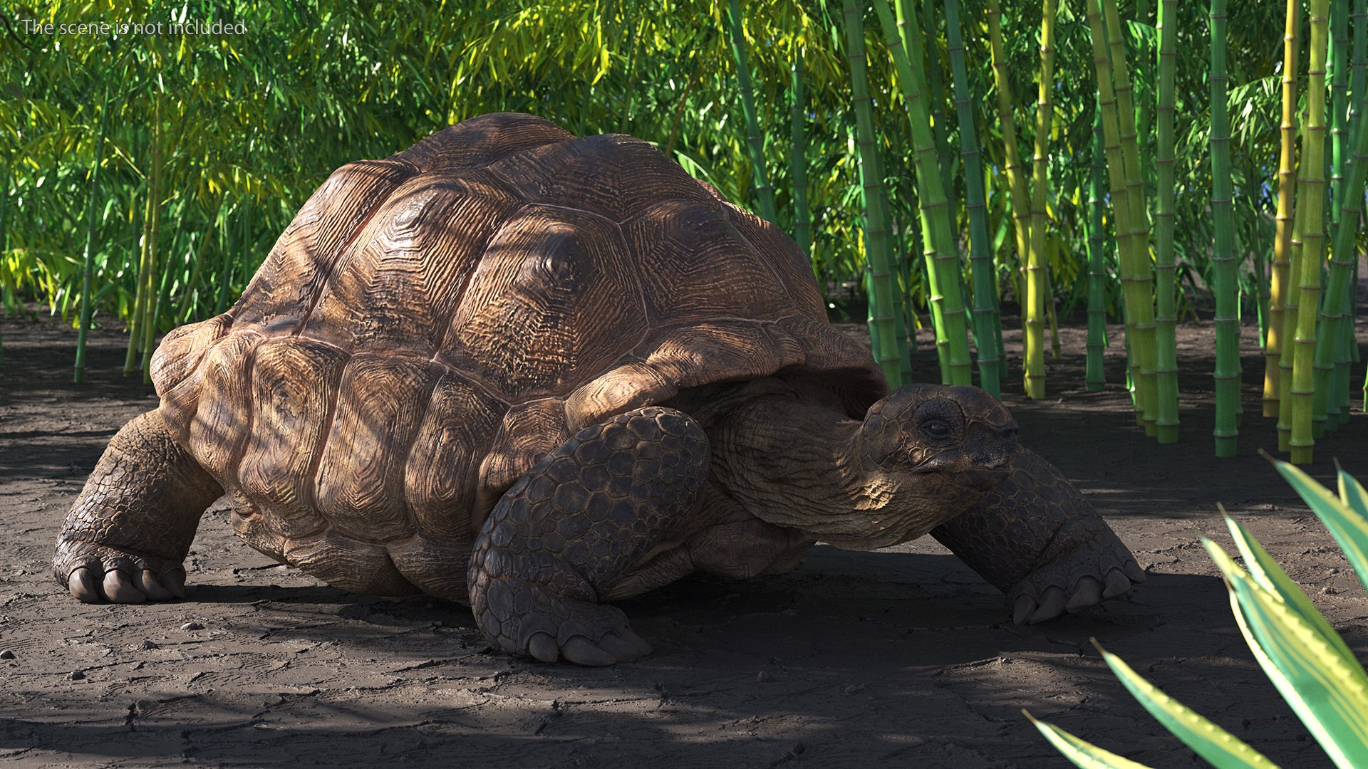 3D Dirty Huge Tortoise Lying Pose - TurboSquid 2108433