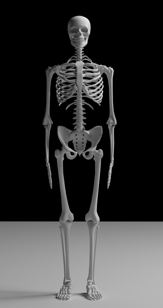 3D skeleton - TurboSquid 1481188