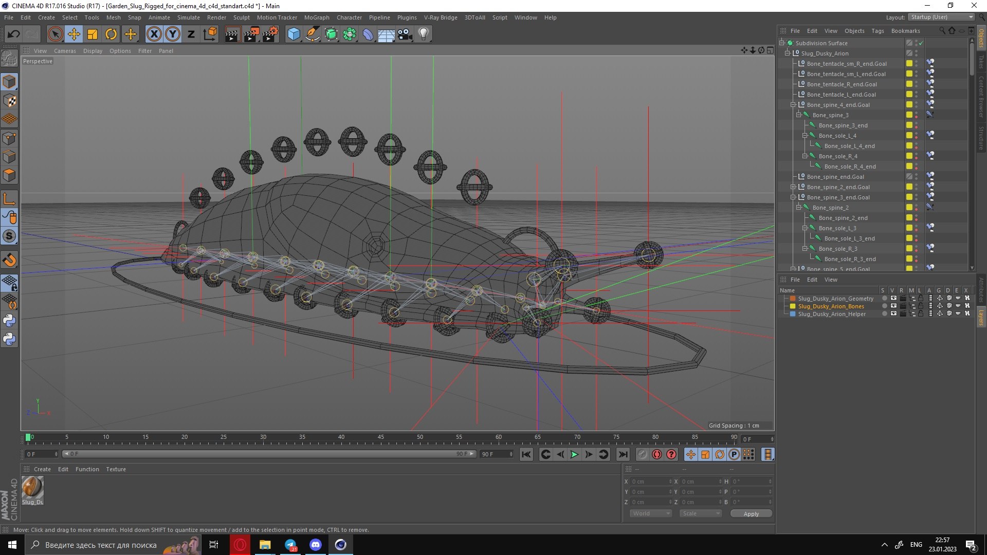 Slug Dusky Arion Rigged For Cinema 4D 3D Model - TurboSquid 2018636