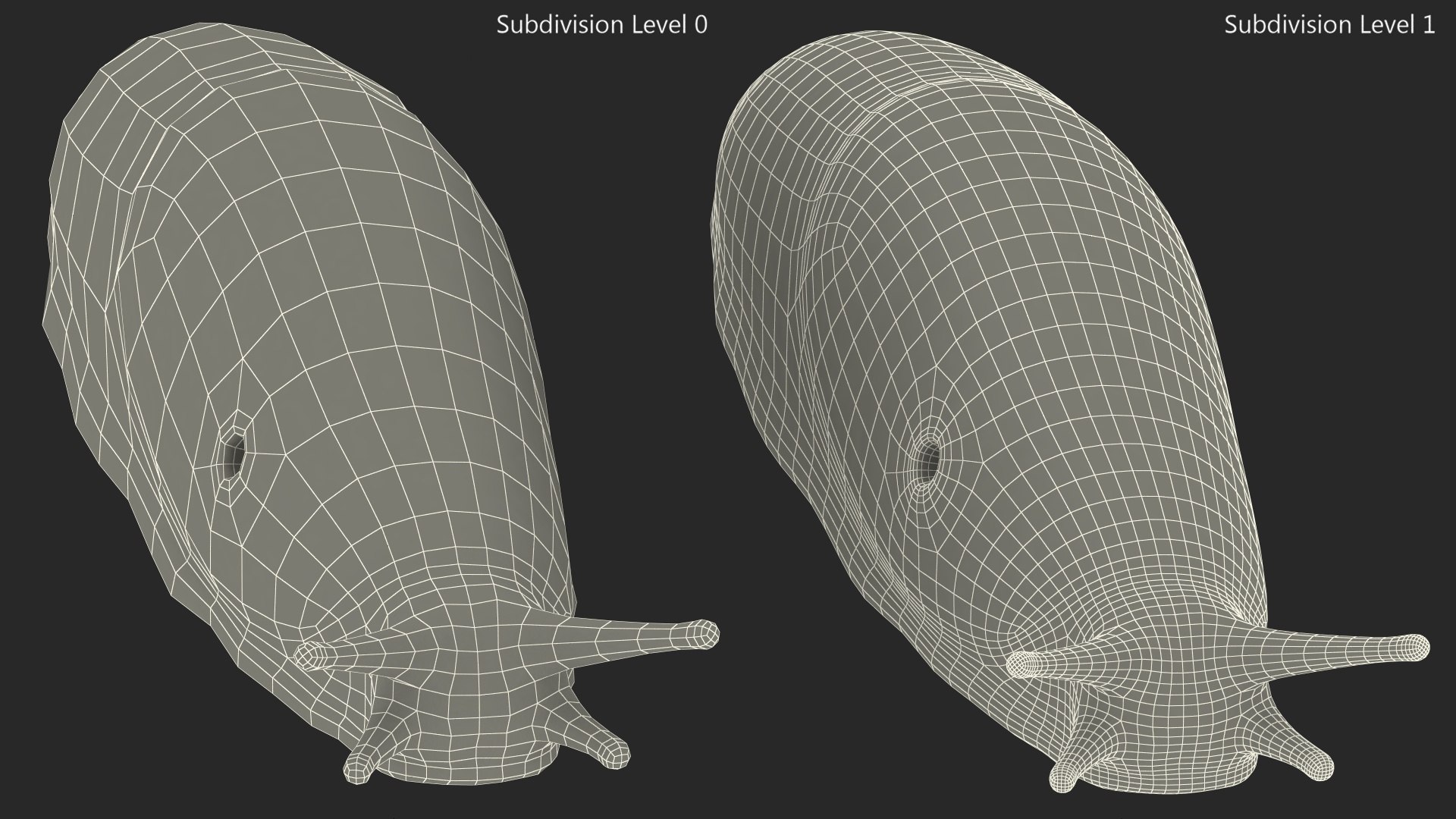 Slug Dusky Arion Rigged For Cinema 4D 3D Model - TurboSquid 2018636