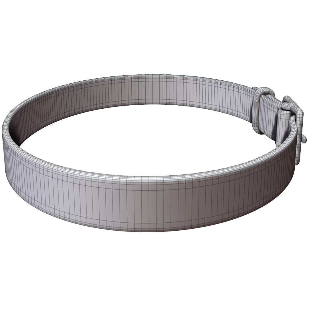 3d Belt Model