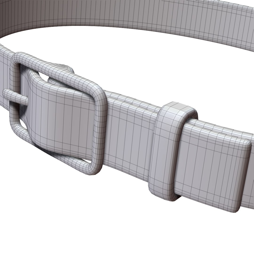 3d Belt Model