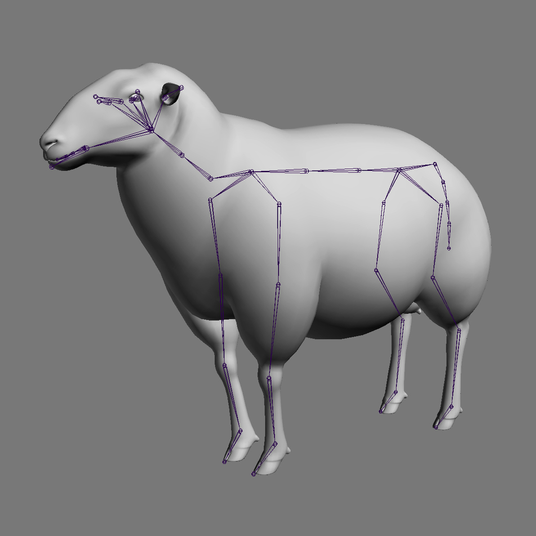 3d lamb sheep