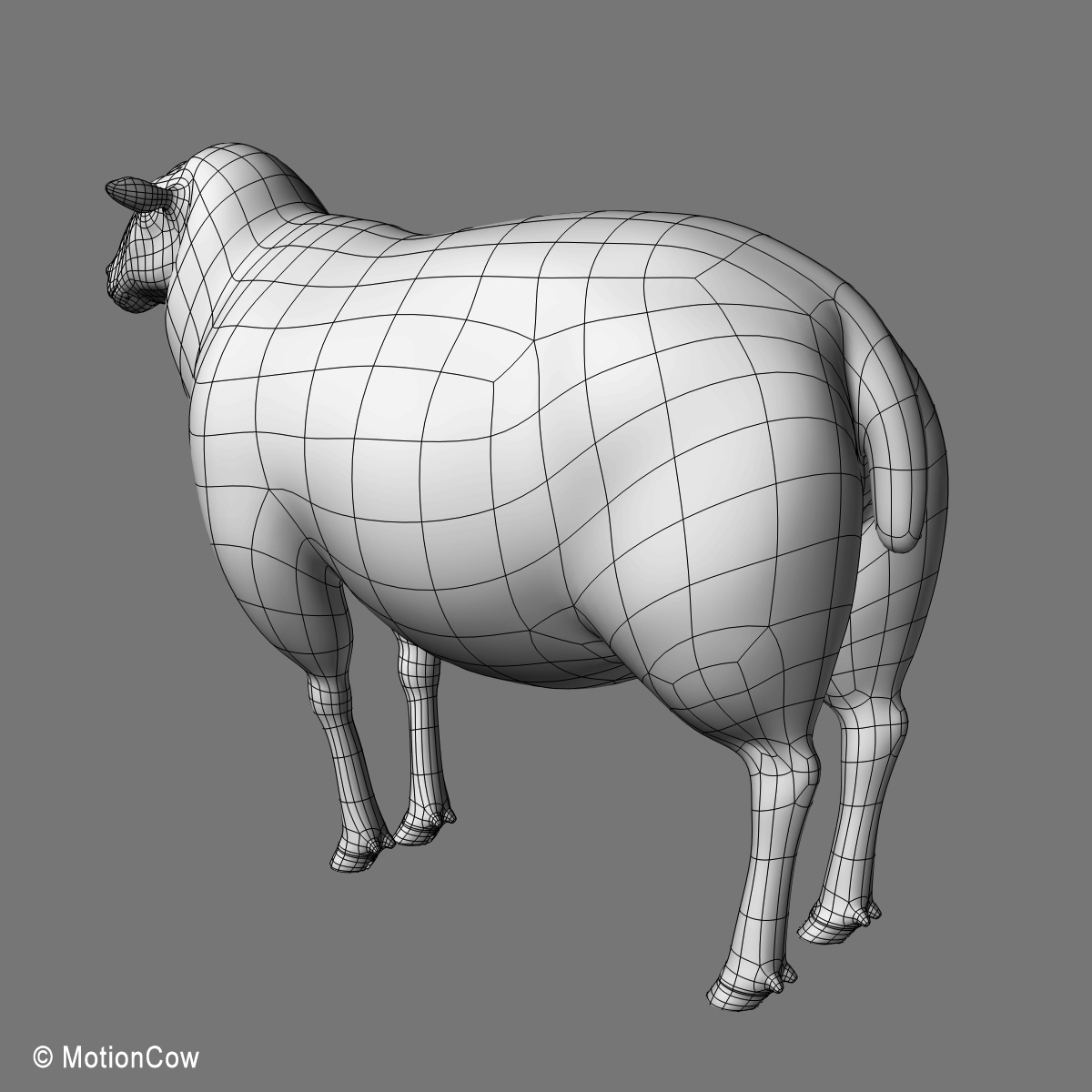 3d lamb sheep