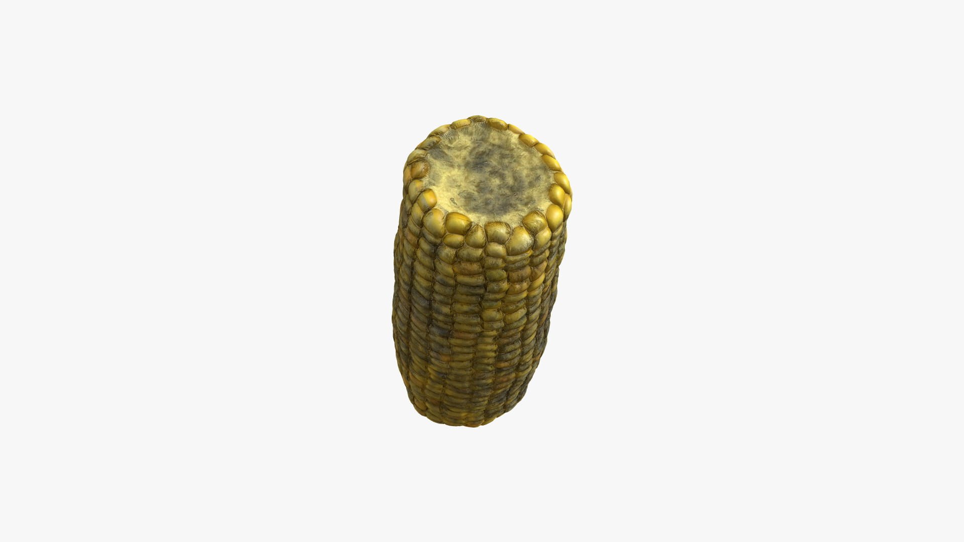 VEG-003 Roasted Corn 3D Model - TurboSquid 2165304