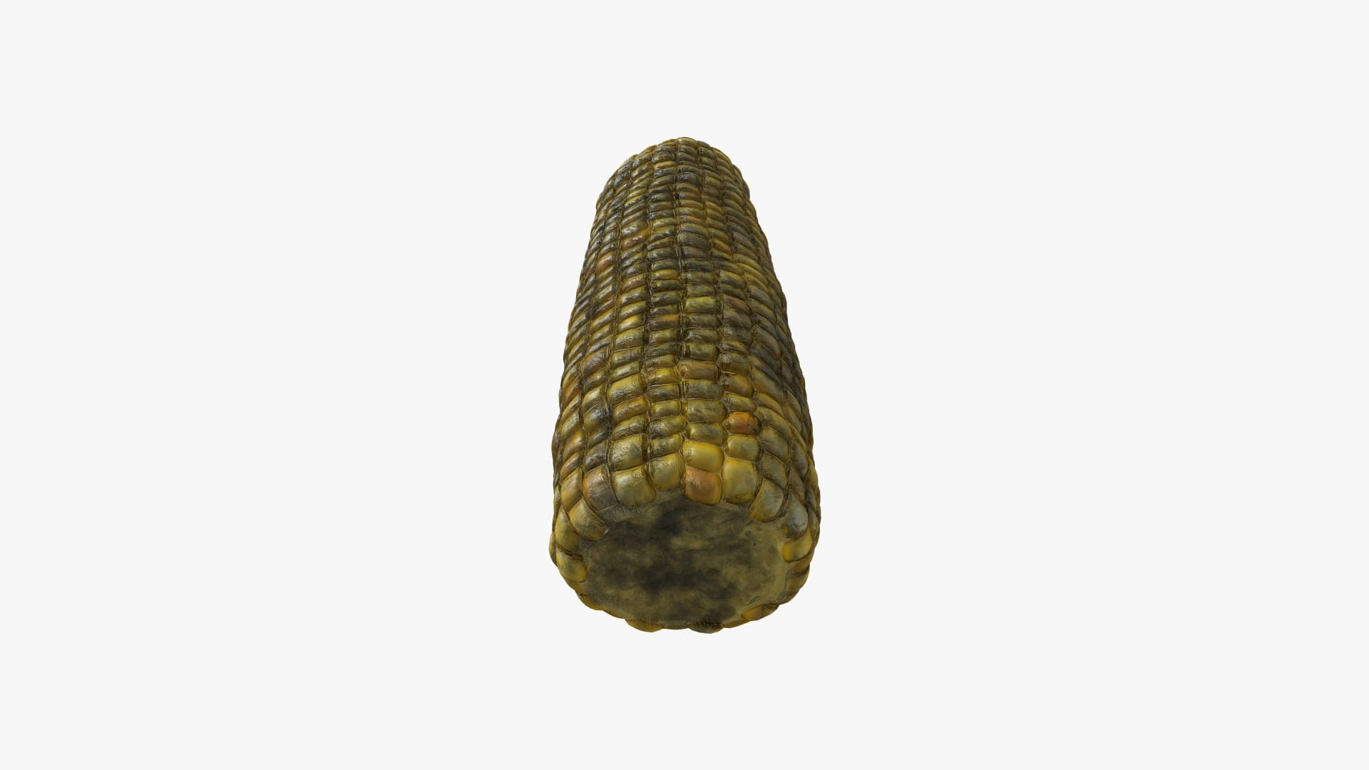 VEG-003 Roasted Corn 3D Model - TurboSquid 2165304