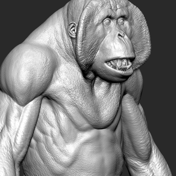 3D Vfx Models | TurboSquid