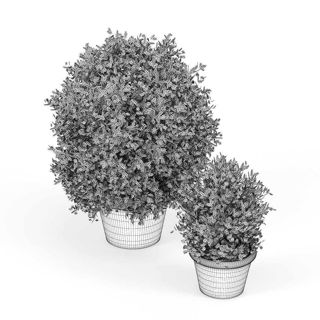 3d Shrub