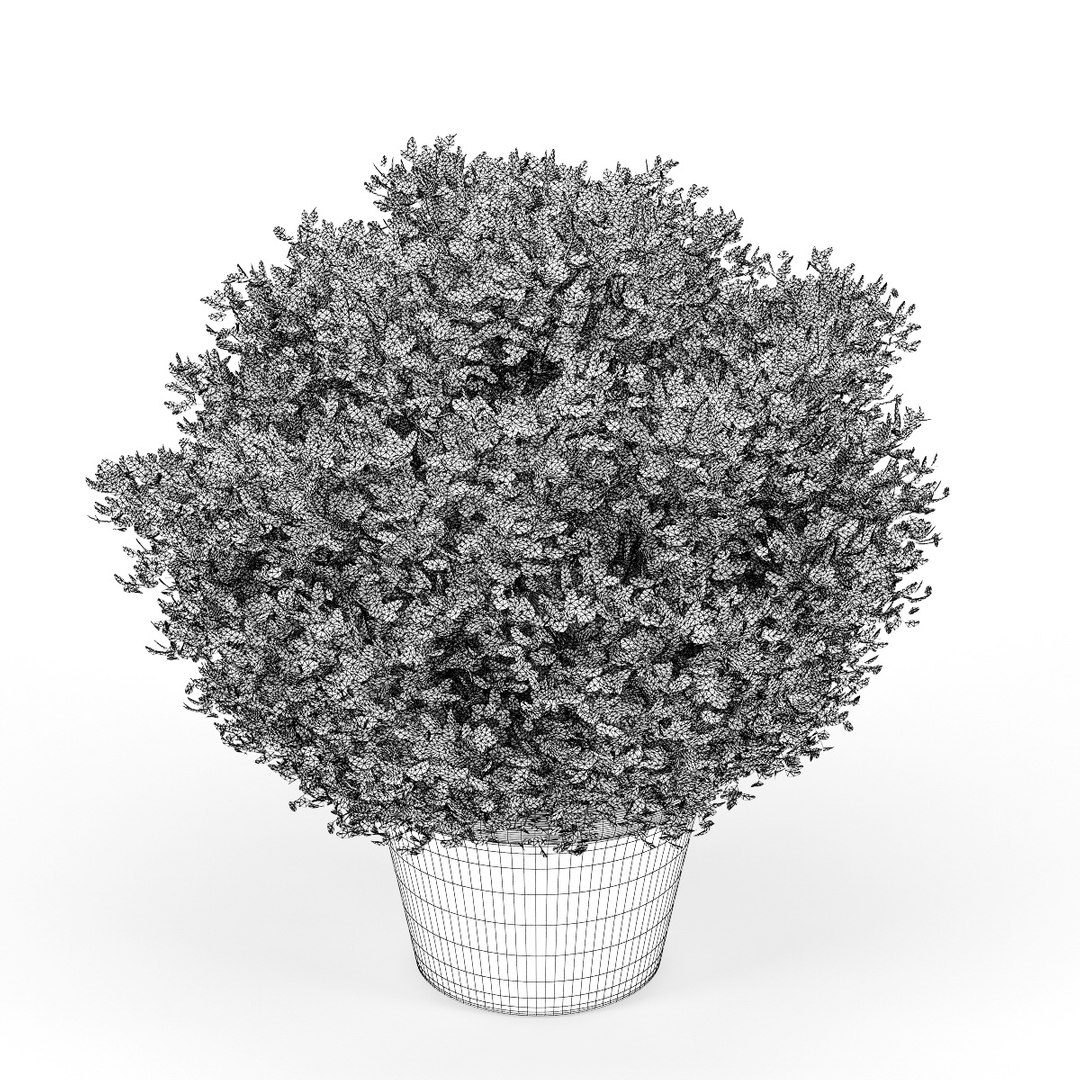 3d Shrub