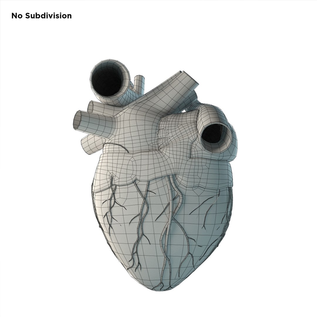 3D Rigged Heart Beating Model - TurboSquid 1227591