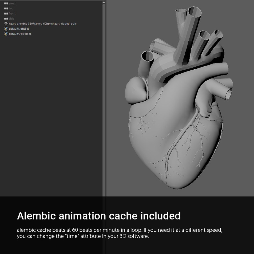3D Rigged Heart Beating Model - TurboSquid 1227591