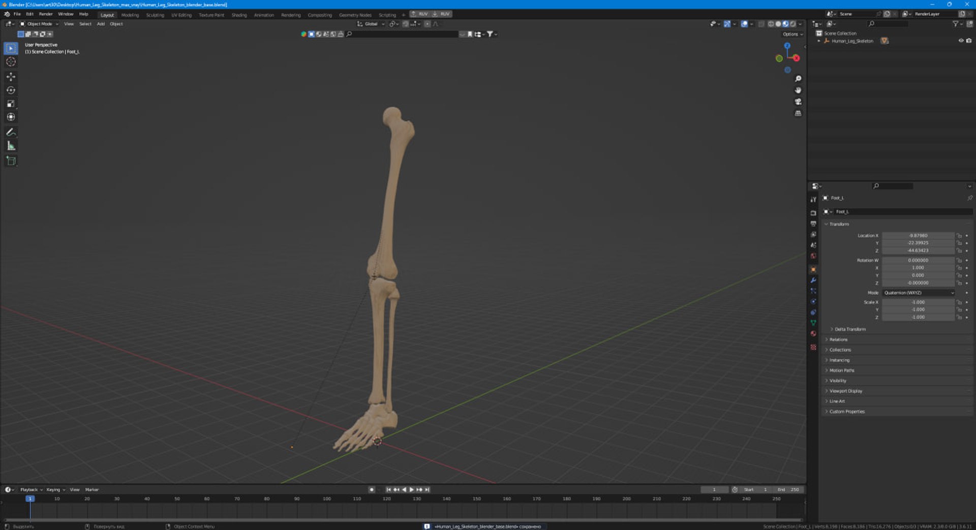 3D Human Leg Skeleton - TurboSquid 2385491