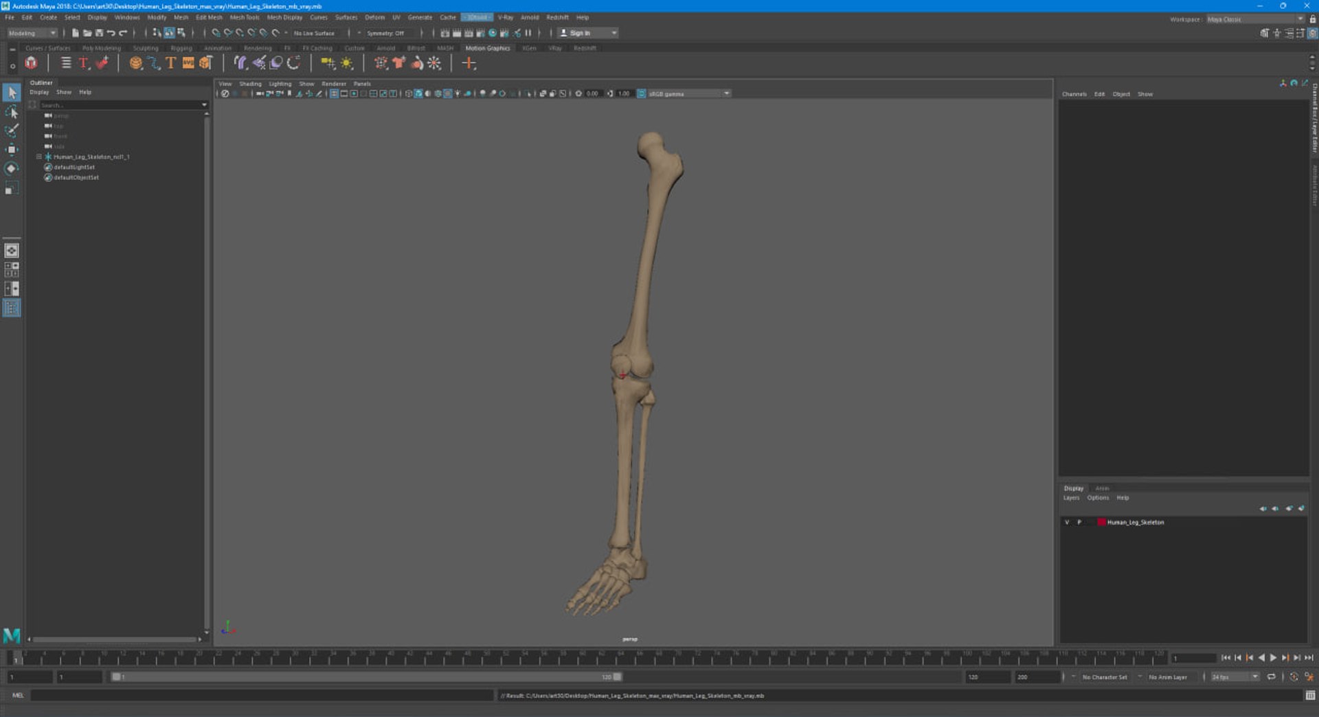 3D Human Leg Skeleton - TurboSquid 2385491