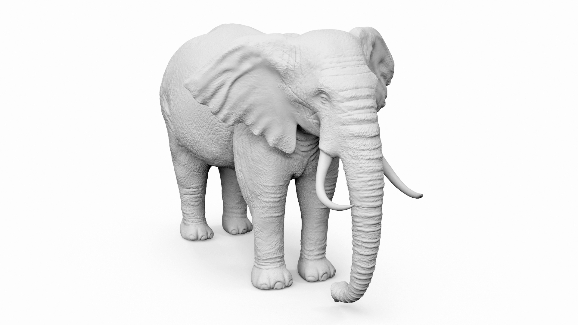 Elephant 3D Model - TurboSquid 1978406