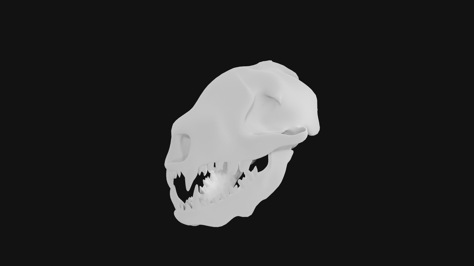 Badger Skull 3D Model - TurboSquid 1992719
