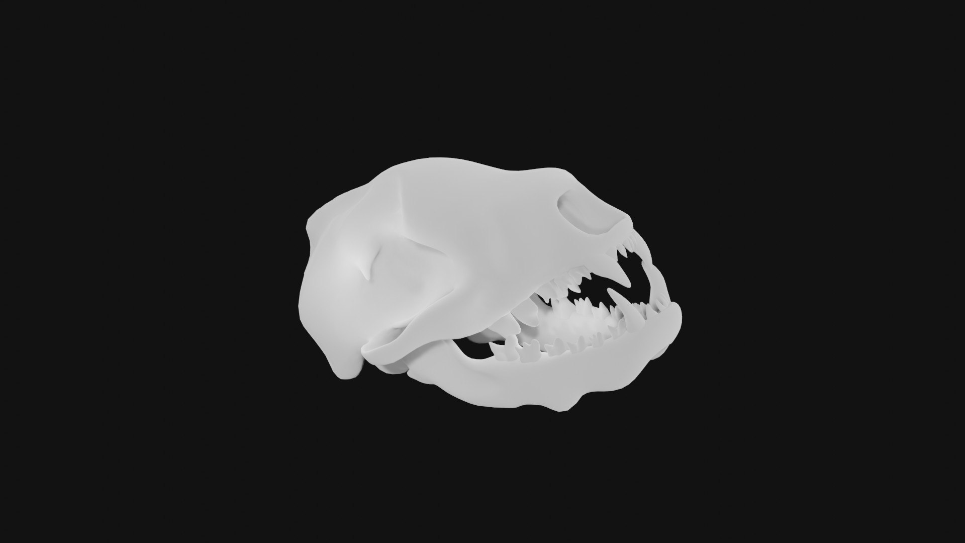 Badger Skull 3D Model - TurboSquid 1992719