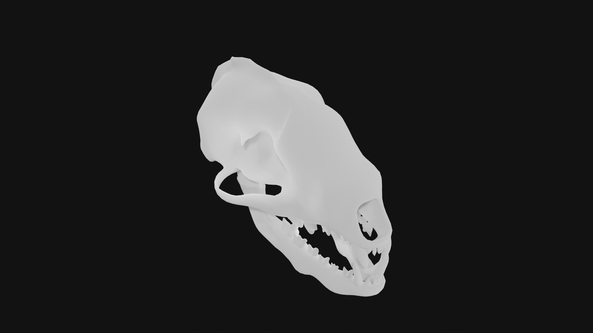 Badger Skull 3D Model - TurboSquid 1992719