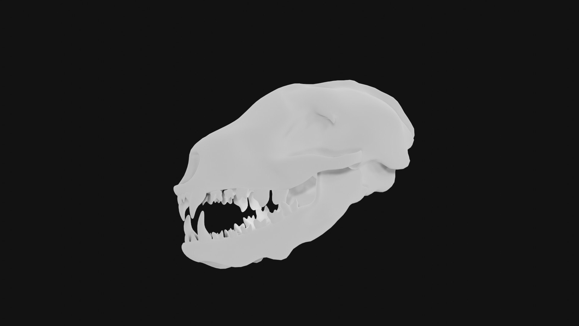 Badger Skull 3D Model - TurboSquid 1992719