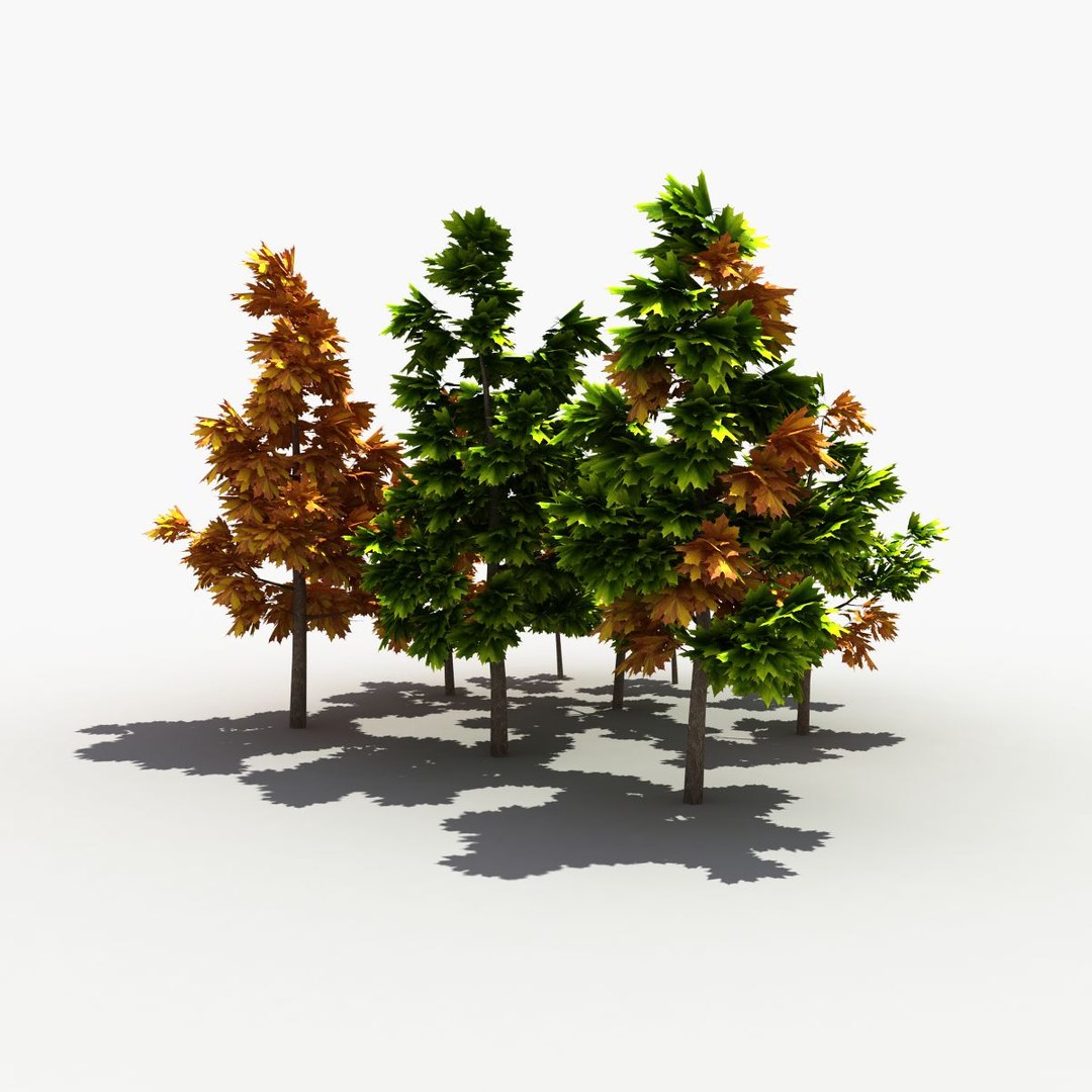 Modelled Tree 3d Max