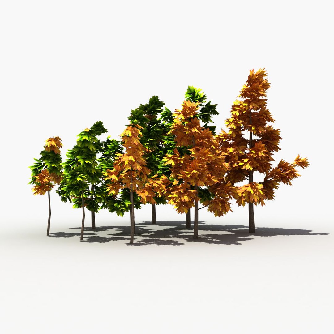 Modelled Tree 3d Max