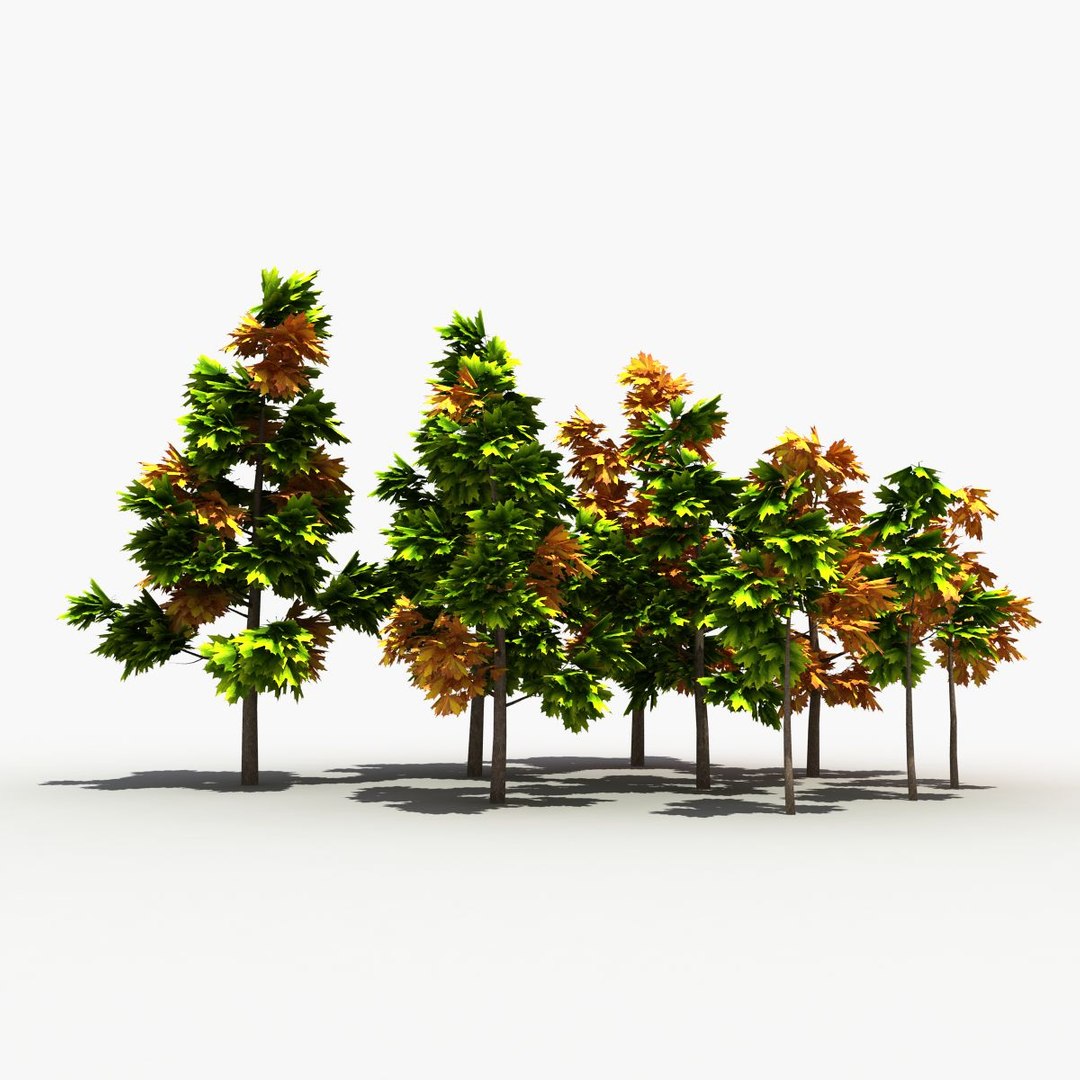 Modelled Tree 3d Max