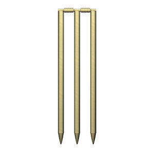 Cricket 3D Models for Download | TurboSquid